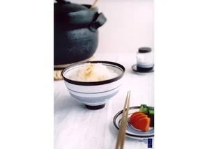 6 Things You Should Know About Japanese Rice Bowls