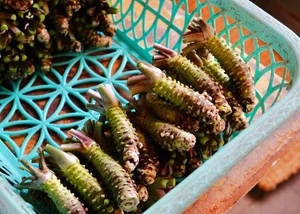 What is Wasabi? The Most Common Questions Answered