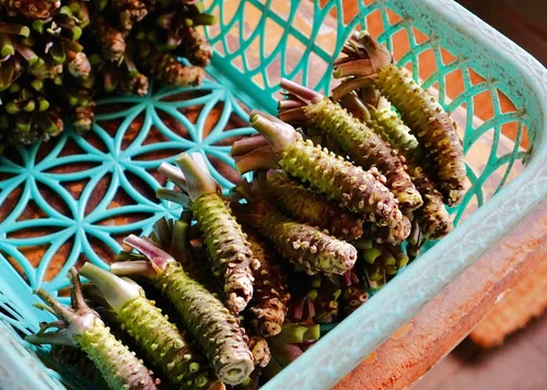 What is Wasabi? The Most Common Questions Answered