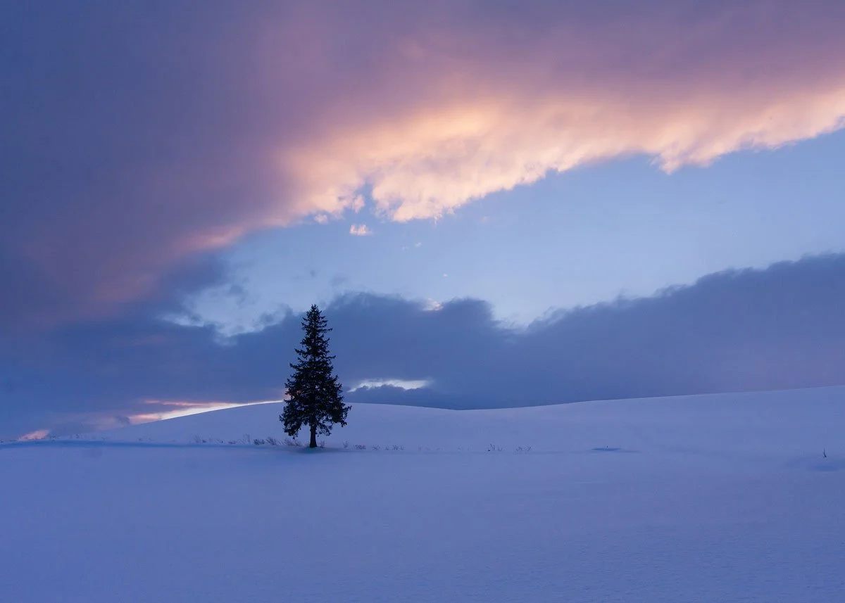 20 Best Towns to Enjoy the Winter Snow in Japan
