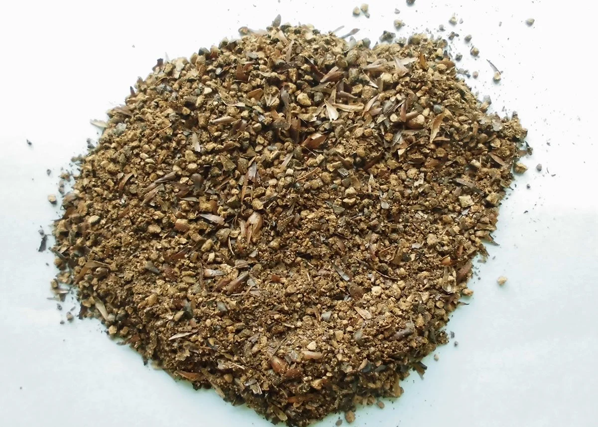 What is Japanese Tea and How to Make It Properly