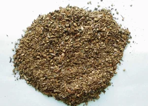 What is Japanese Tea and How to Make It Properly