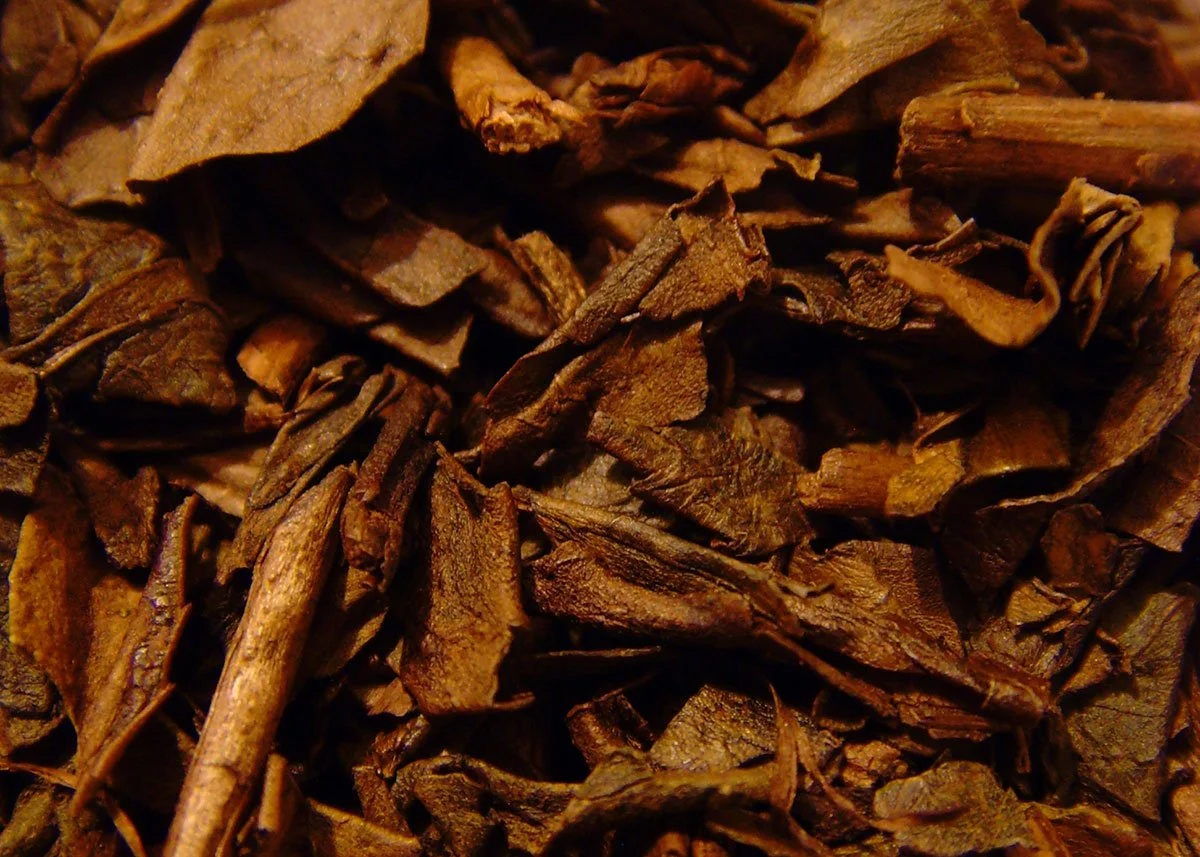 What is Japanese Tea and How to Make It Properly