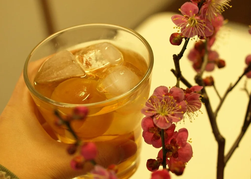 What is Umeshu? 6 Things to Know About Japanese Plum Liqueur