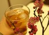 What is Umeshu? 6 Things to Know About Japanese Plum Liqueur