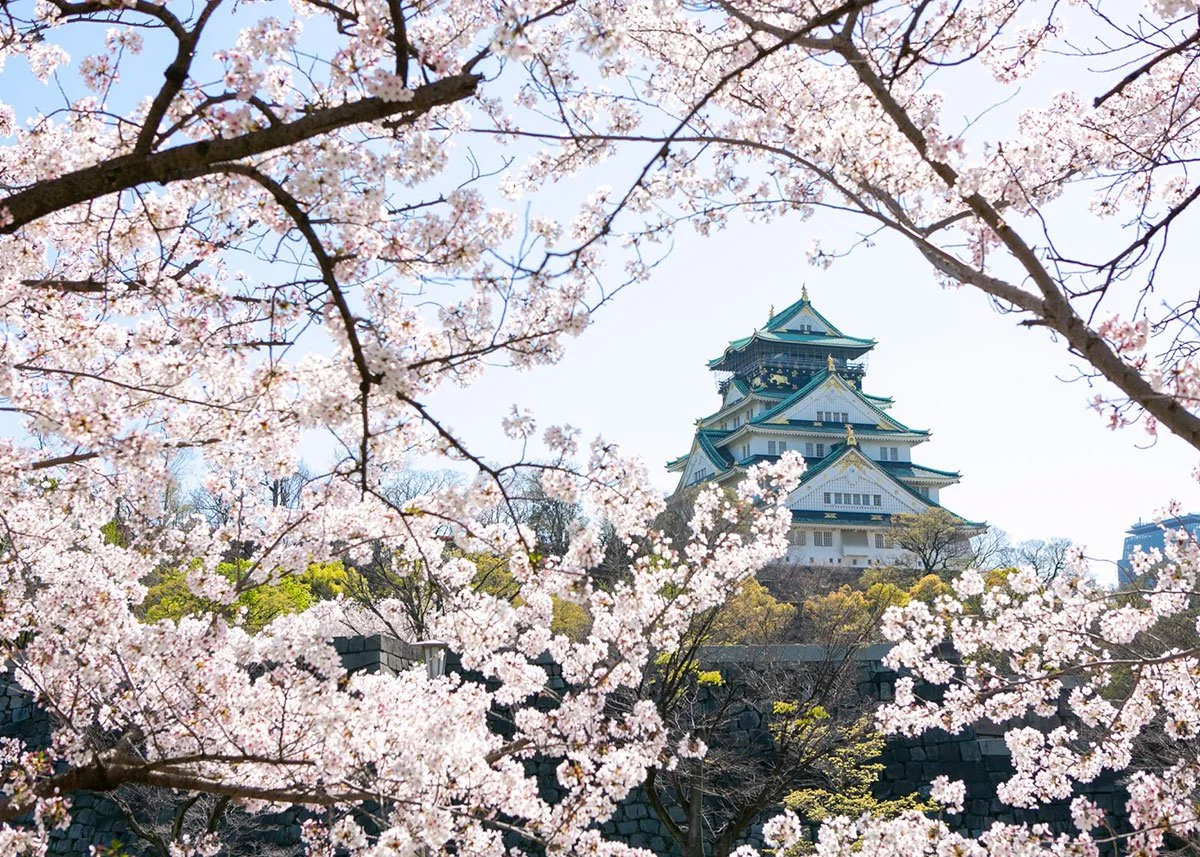 20 Best Japanese Castles You Should Visit