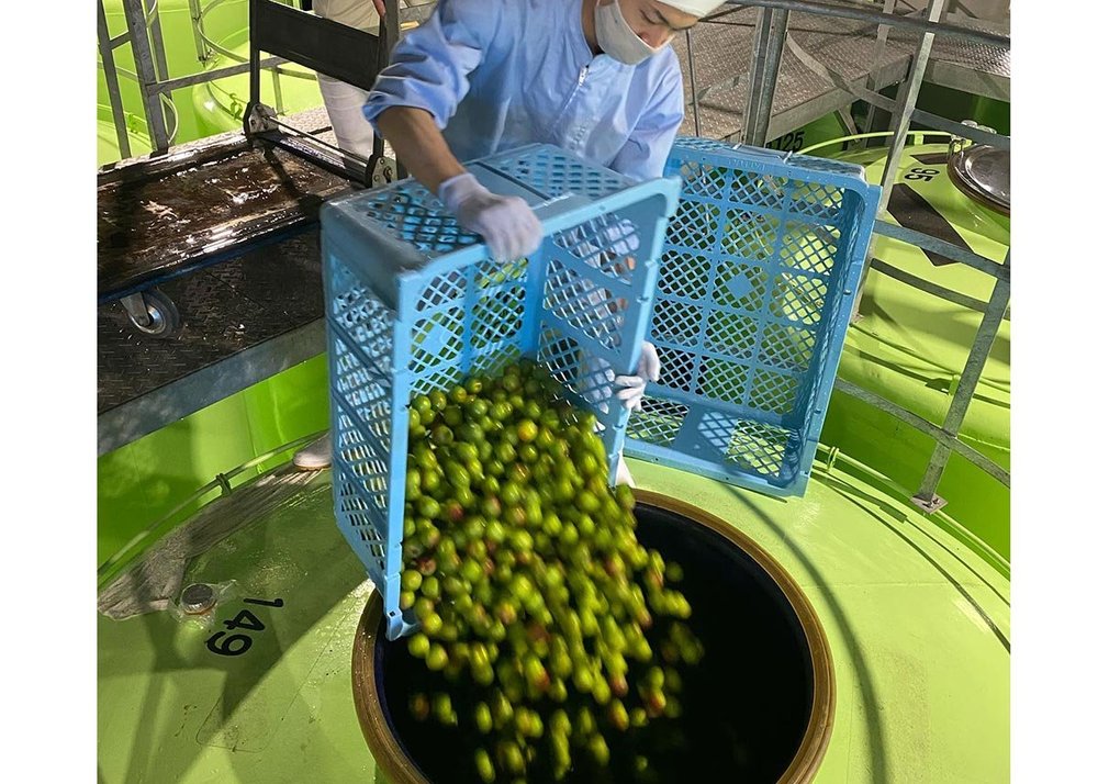 What is Umeshu? 6 Things to Know About Japanese Plum Liqueur