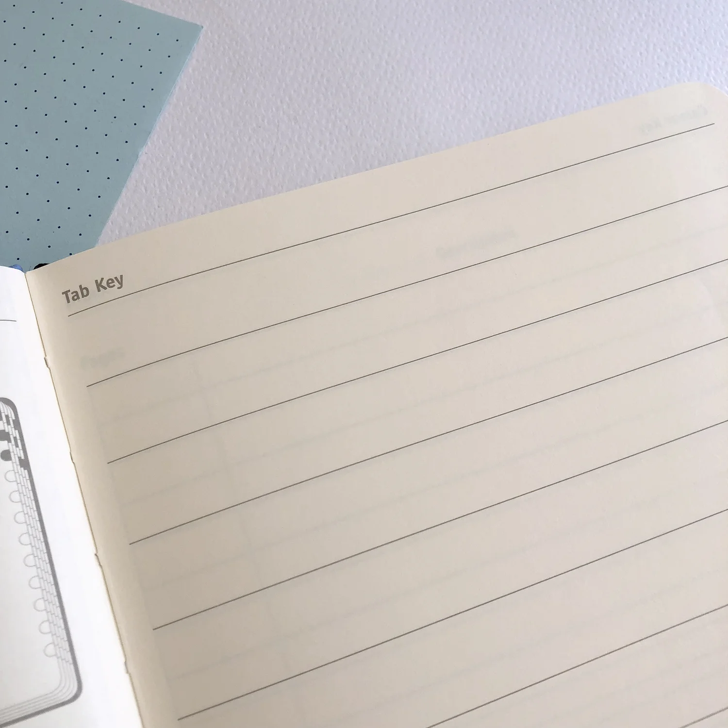 Dingbats Notebook Review — Square Lime Designs