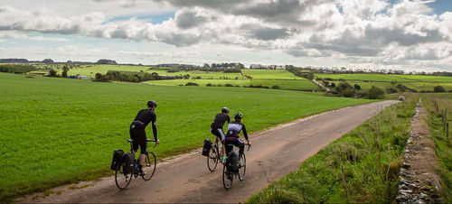 Tailfin — Backyard Bike Shop