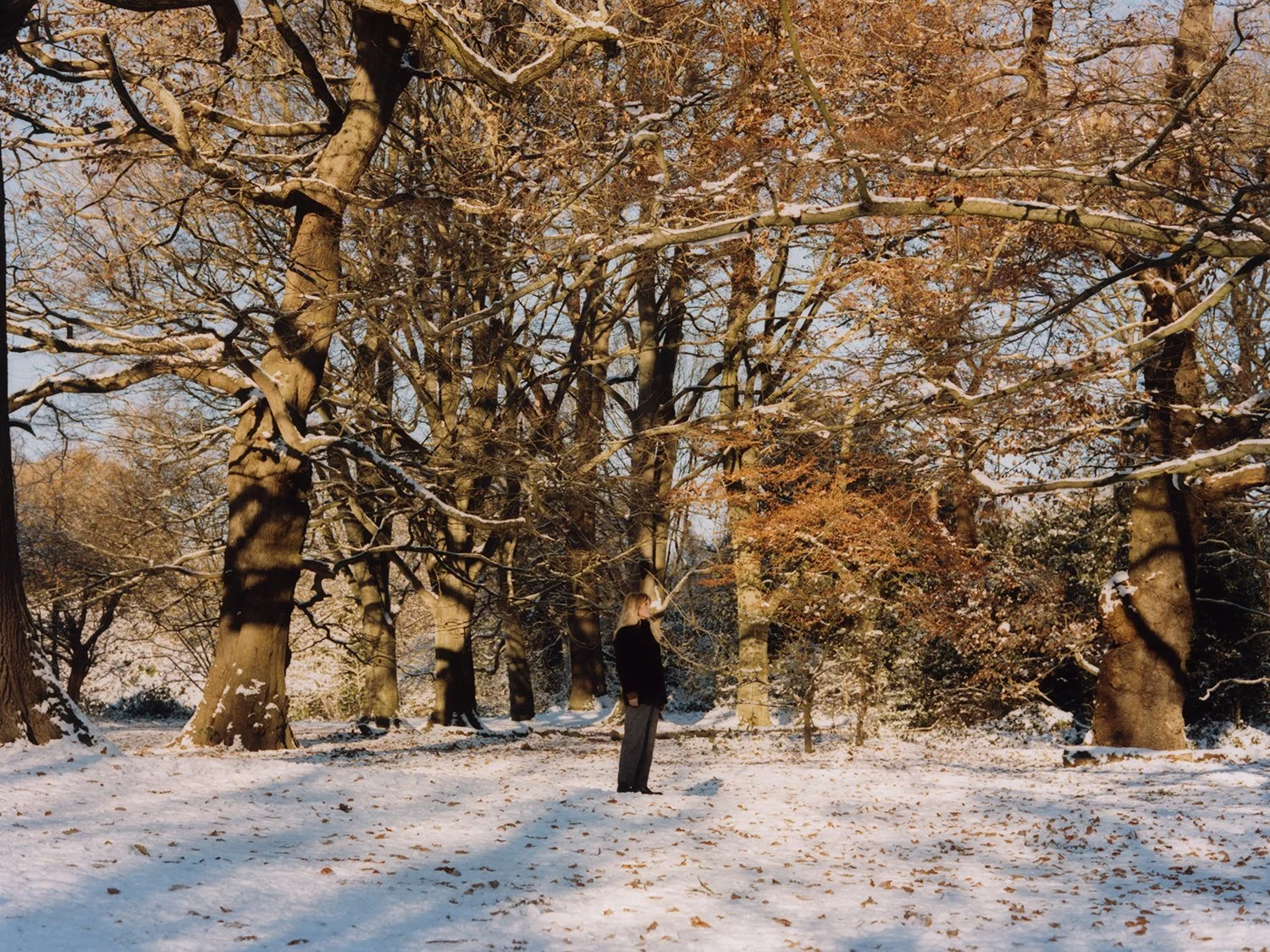 ffern — PETRA BÖRNER