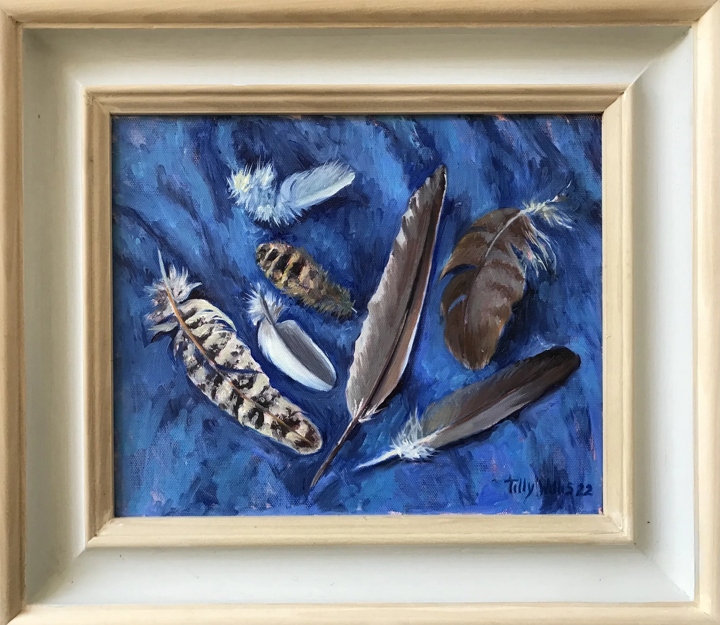 Shop-Still-Life — Tilly Willis