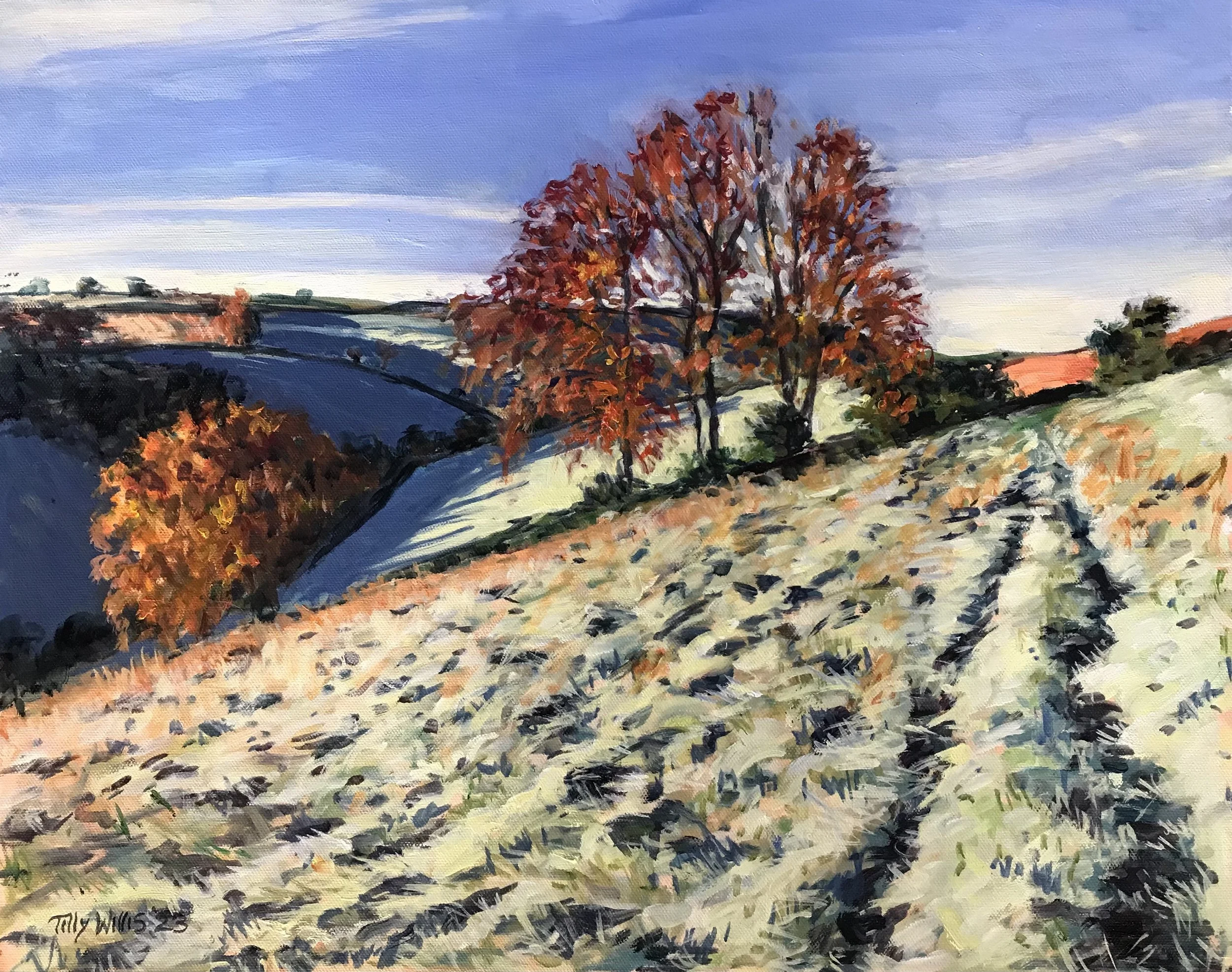 Buy work — Tilly Willis