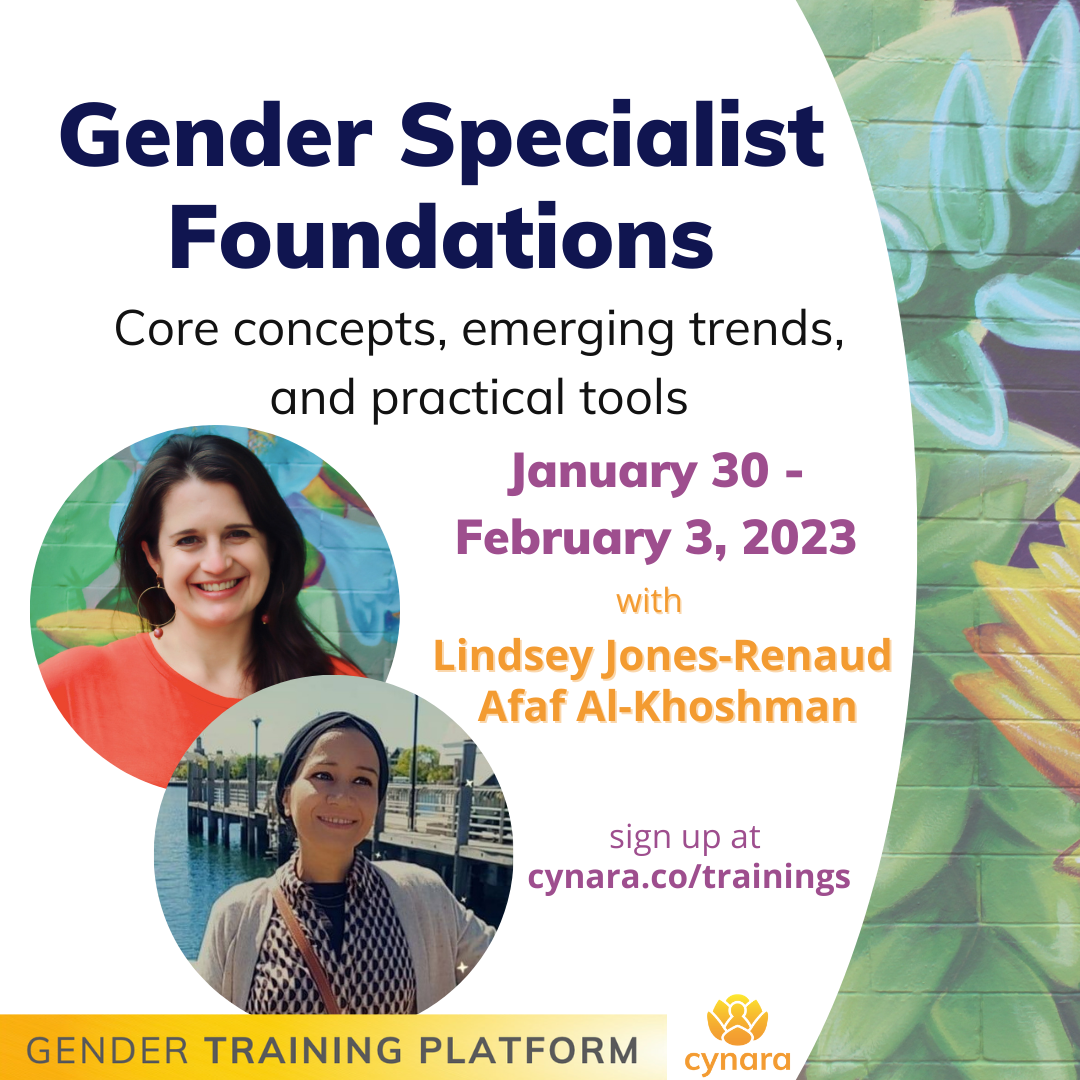 International & Global Development NGO Gender Training — Cynara Gender ...