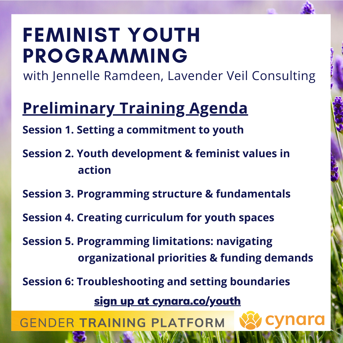 Feminist Youth Programming: Designing and facilitating for ...
