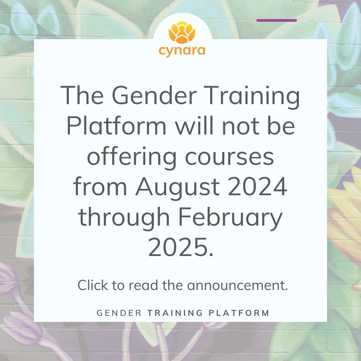 Gender Equality and Social Justice Trainings and Workshops Online ...