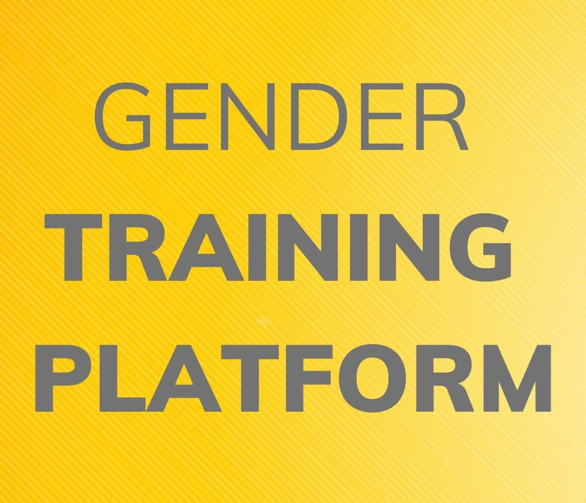 Gender Equality and Social Inclusion GESI Training for NGOs- Cynara ...