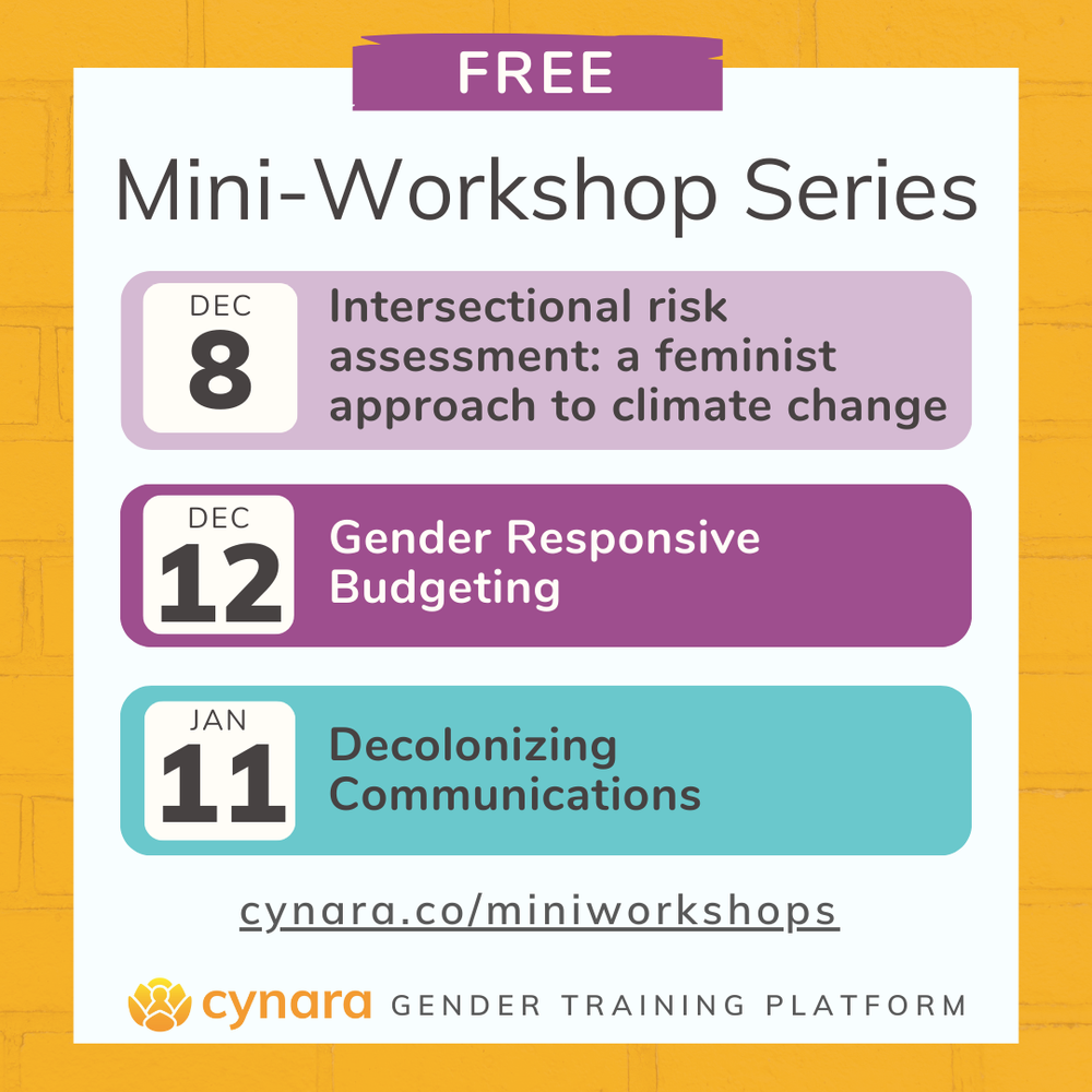 Free workshops about gender and social inclusion in development ...