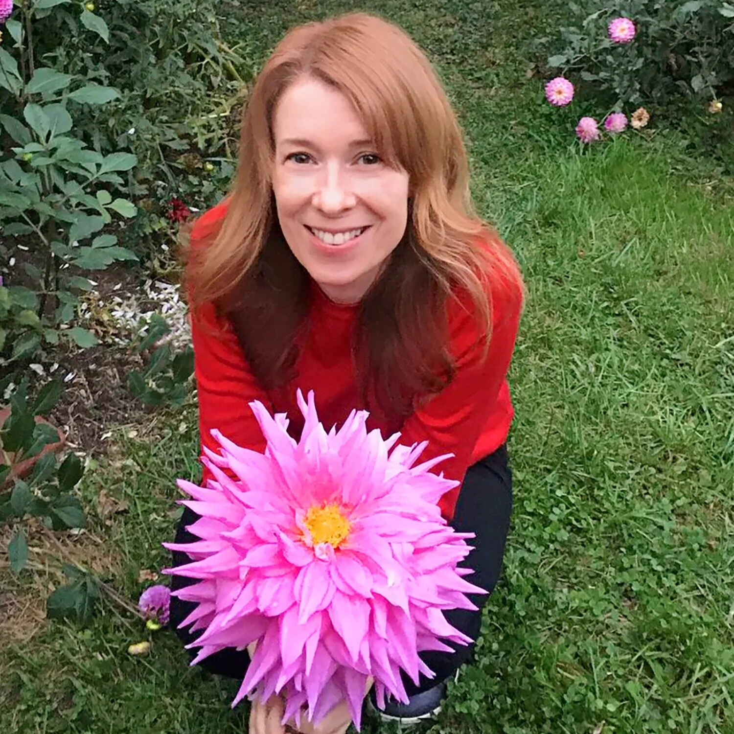 Emily Van Beek's Clients P2 — Folio Jr