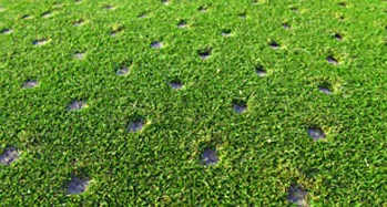 Services — CLM Landscaping, LLC