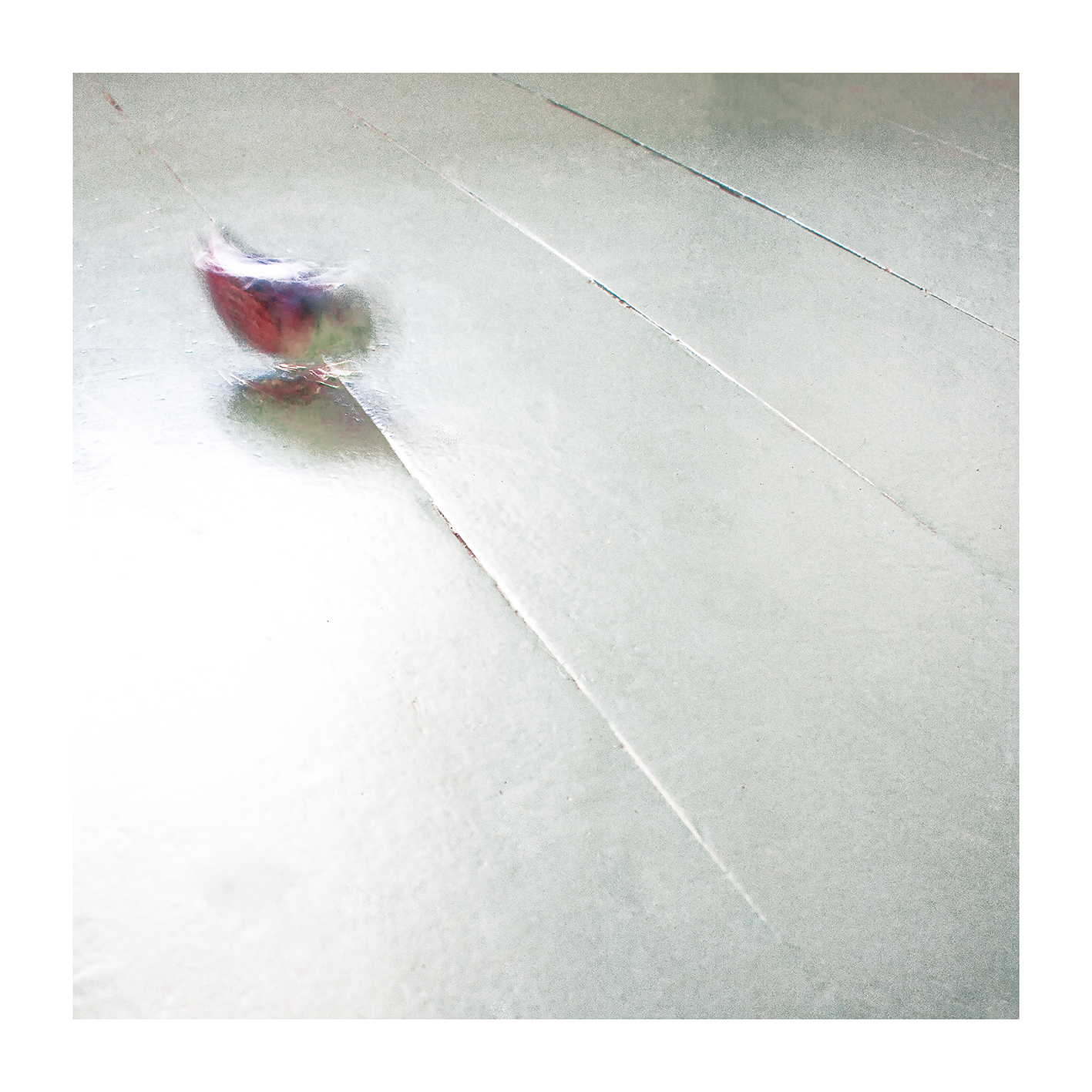 Enchanting Long Exposure Images: Tin Toy Bird by Phil Gomm — Phil Gomm