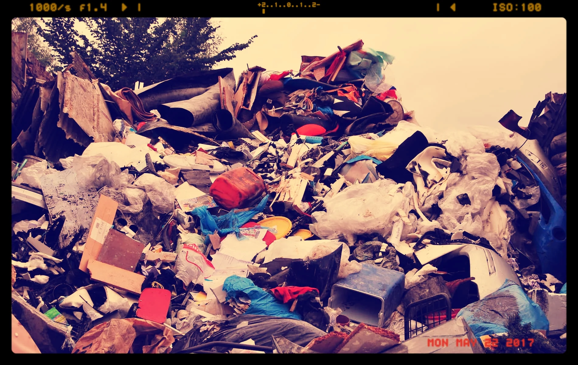 #1 RUBBISH Removal Service & Property Hoarding Disposal | MrJUNK