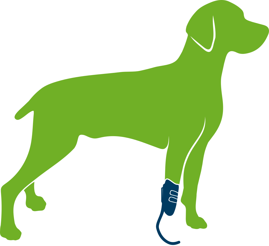 Carpal Laxity, Carpal Hyperextension in Dogs - PawOpedic™