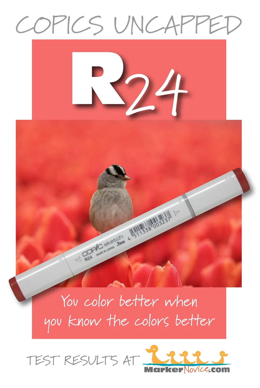 R24 Prawn: Copics Uncapped (Marker Swatch, Ink Testing) — Marker Novice