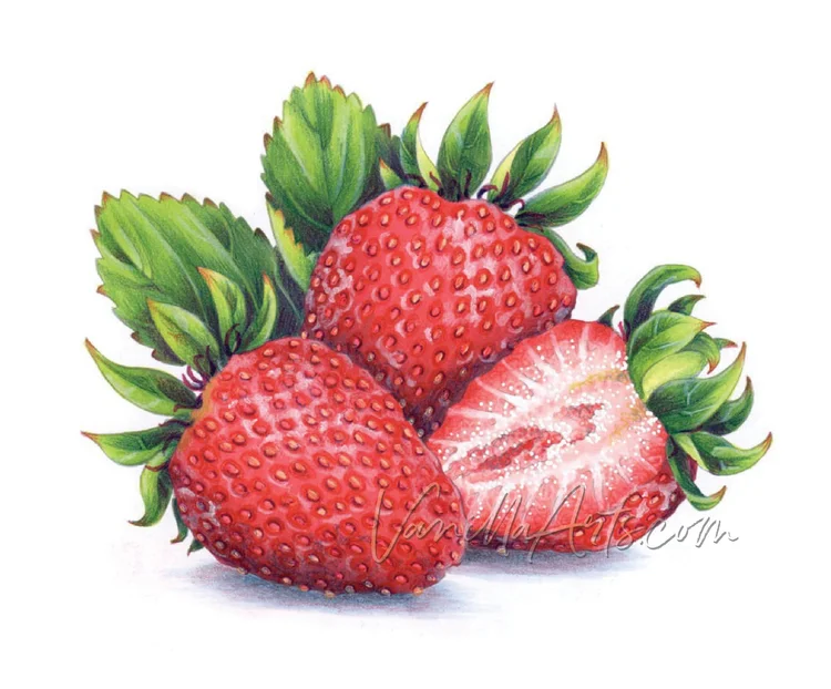 Best Red Blending Combination for Copic Marker Beginners: Tips from 4 ...
