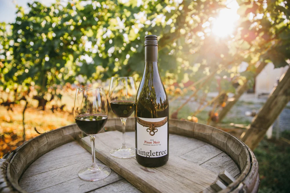 Groundbreaking (Literally) News from Abbotsford's Singletree Winery ...