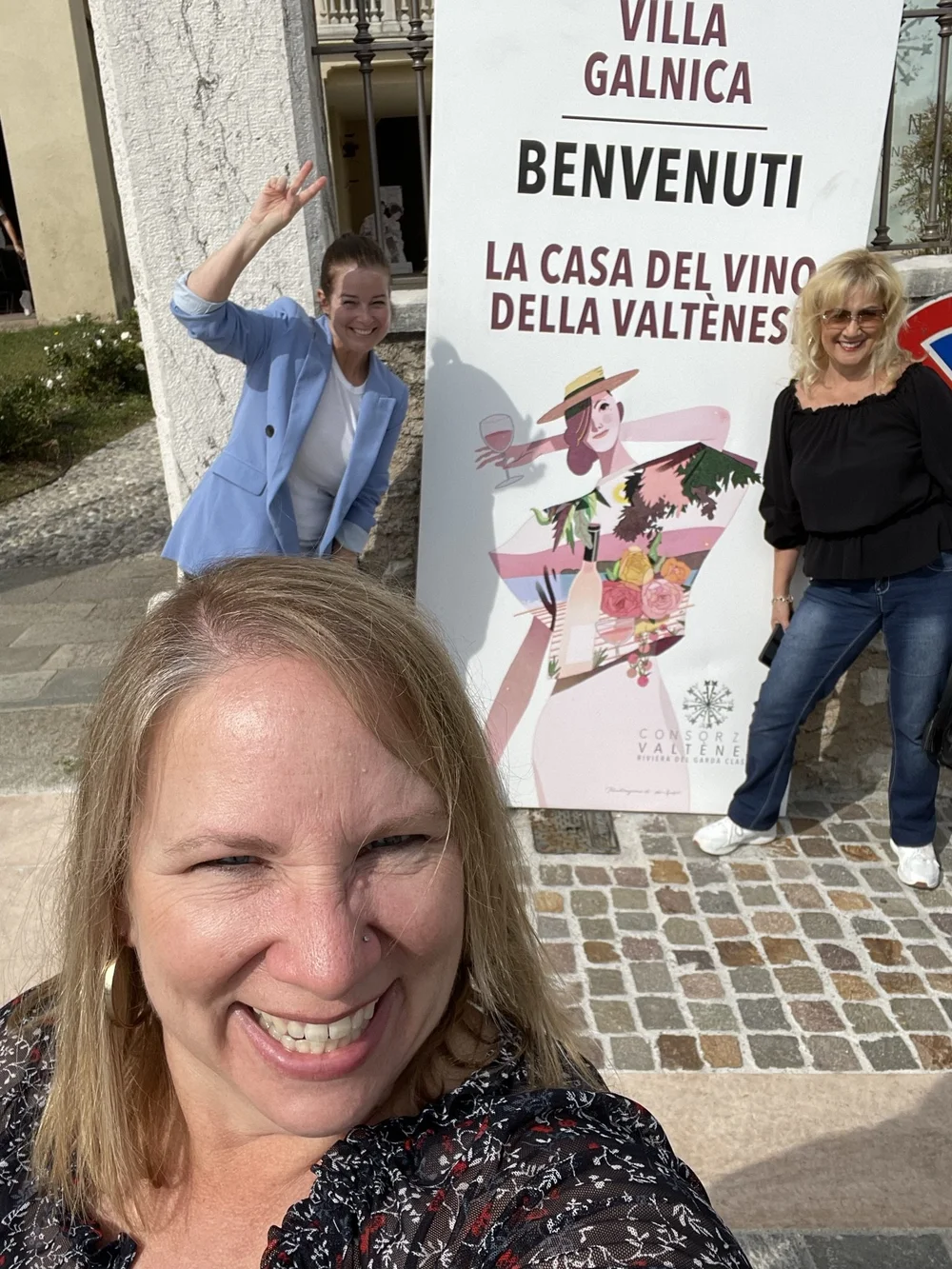 Valtènesi : the OTHER Rosé Wine Region — Town Hall Brands: Design ...