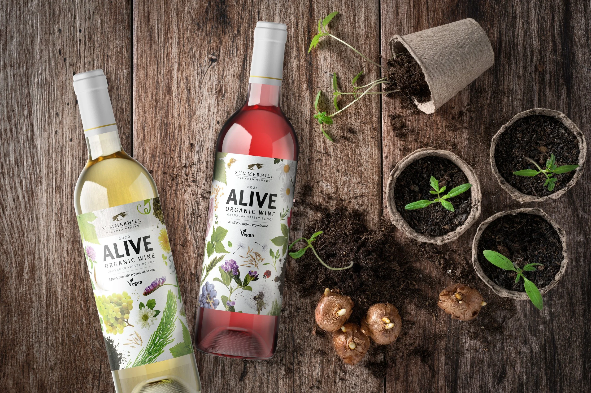 Town Hall Brands: Design & Marketing Agency-Alive