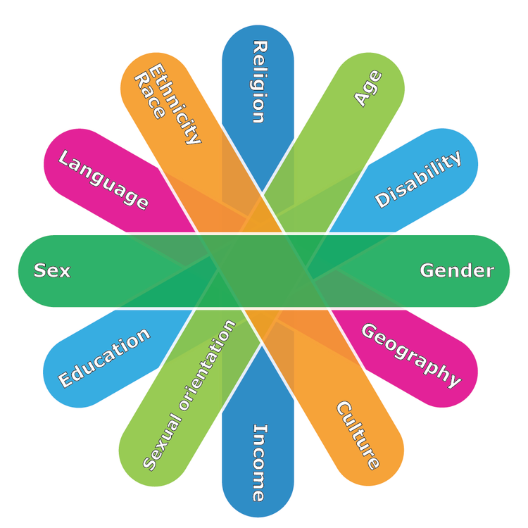 Explainer: What is Gender-Based Analysis Plus (GBA+)? — WHEN Women's ...