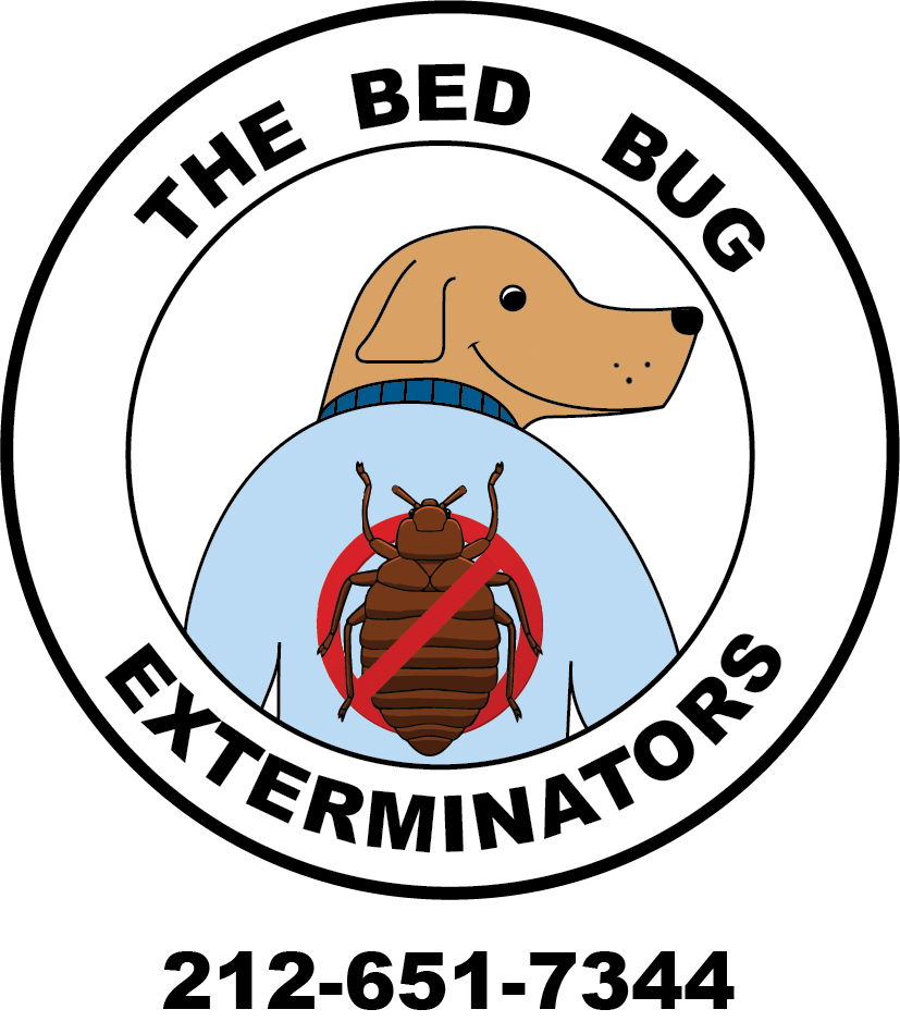 Bug Exterminator