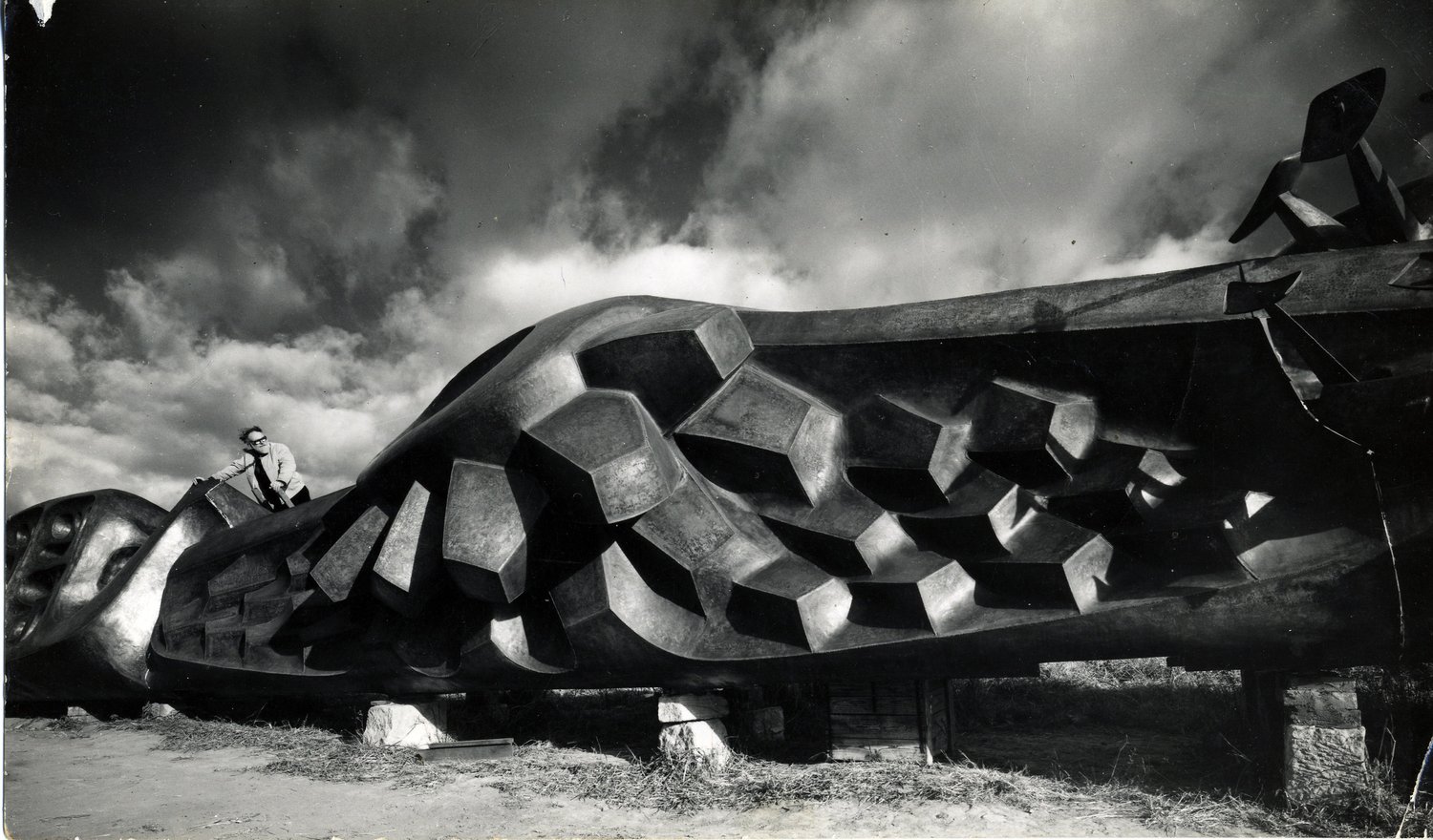 About — Tom Bass Studio Commissions