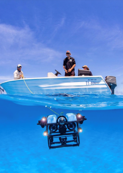 We are an official Blue Robotics distributor! 🎉 — Spot X Underwater ...