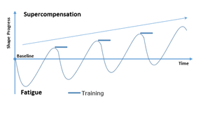 Supercompensation and exercise after COVID — Forty2 Fitness