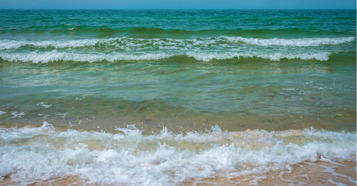 Falmouth Beaches — Freitas Monteforte Group (Compass)