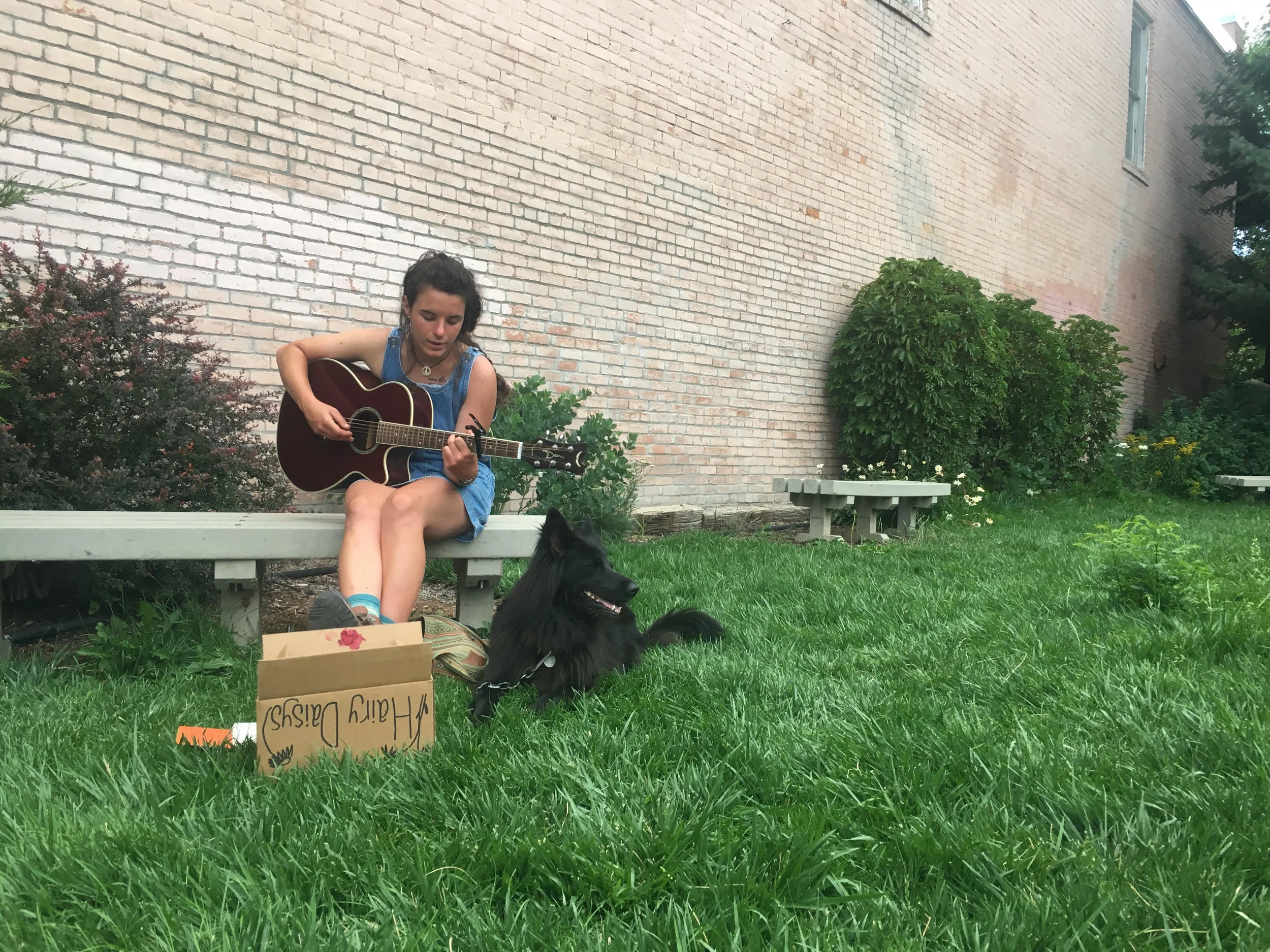 Upcoming Performances — Kat Dolan Pilates