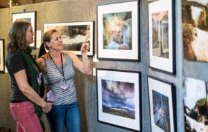 WILD & SCENIC ART — Nevada County Arts Council