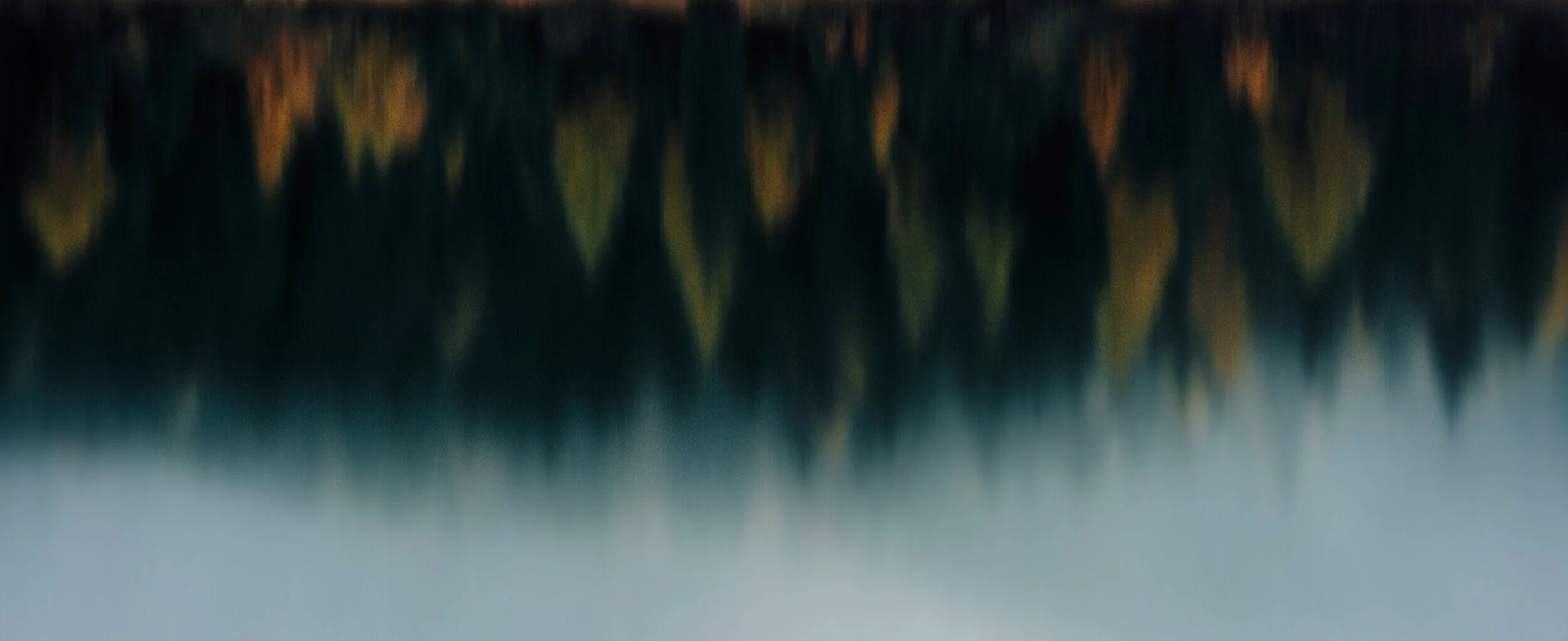 Nevada County Arts Council