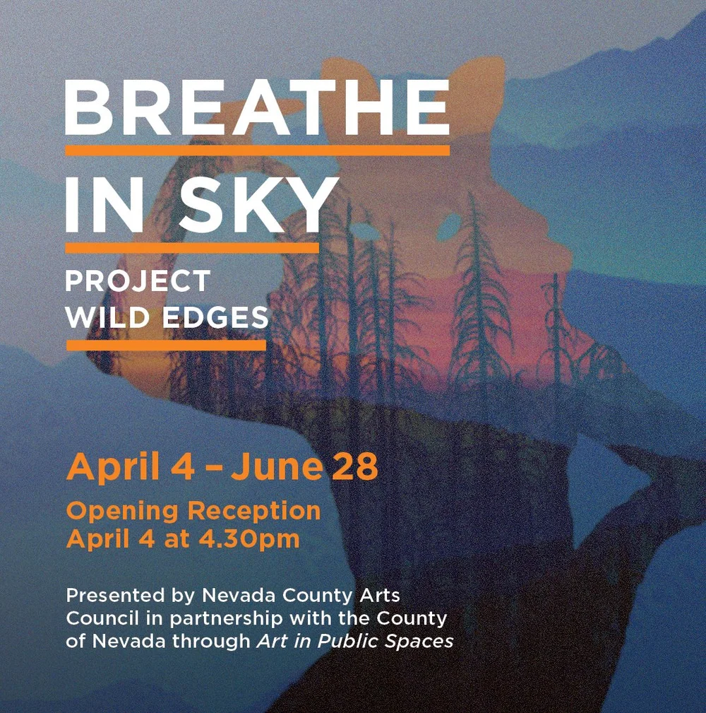 ART IN PUBLIC SPACES — Nevada County Arts Council
