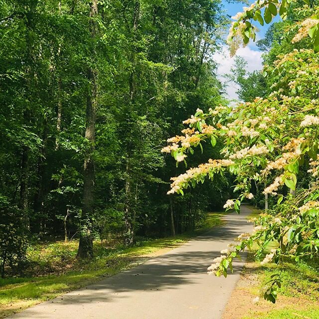 Virginia Capital Trail Foundation | Paved pedestrian & bicycle trail ...