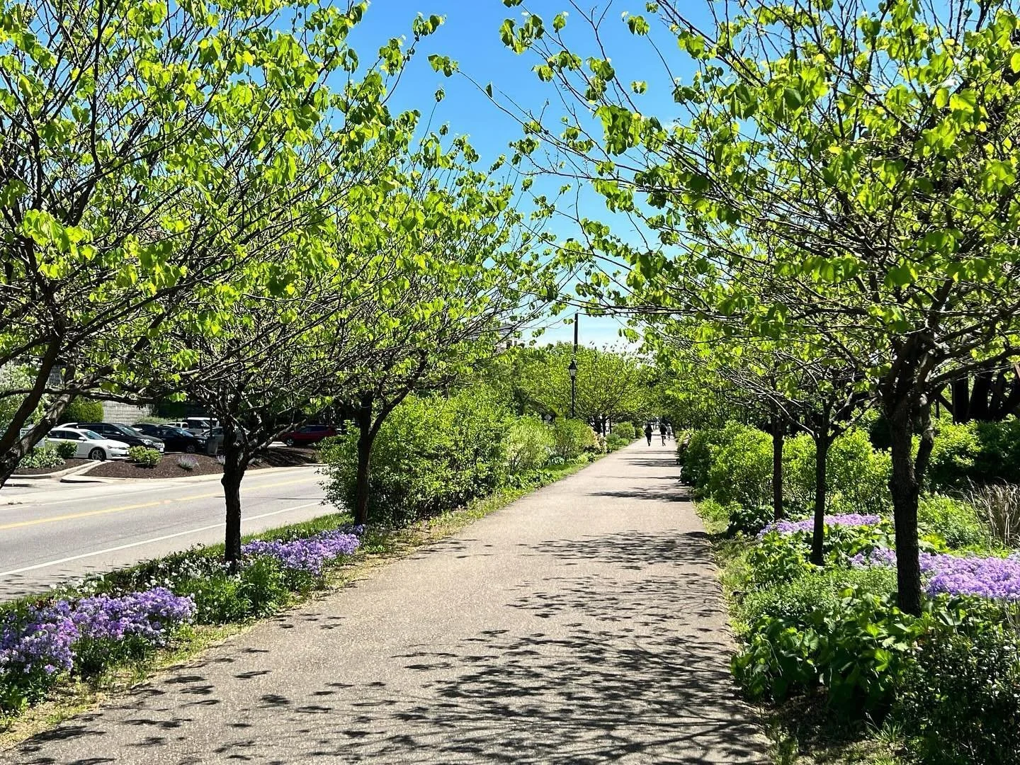 Virginia Capital Trail Foundation | Paved pedestrian & bicycle trail ...