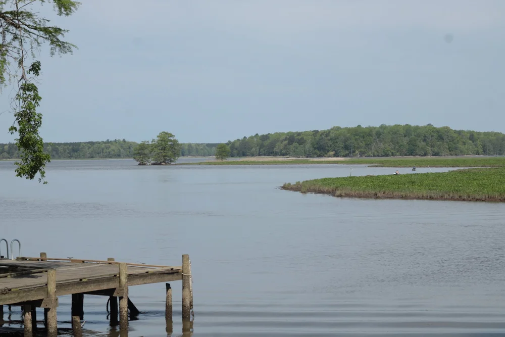 Step by Step: Stretching Limits and Discovering Where You Are ...