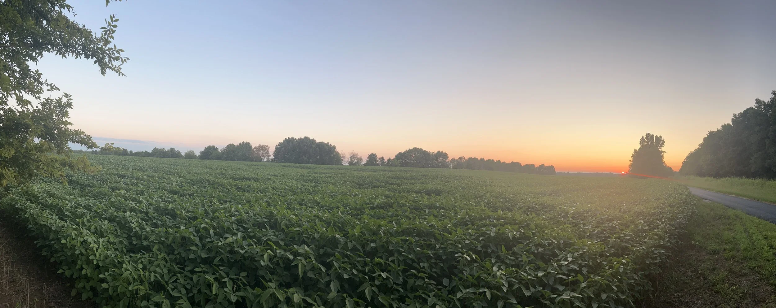 Rollin Through Time: A High Wheel Adventure on the Capital Trail ...