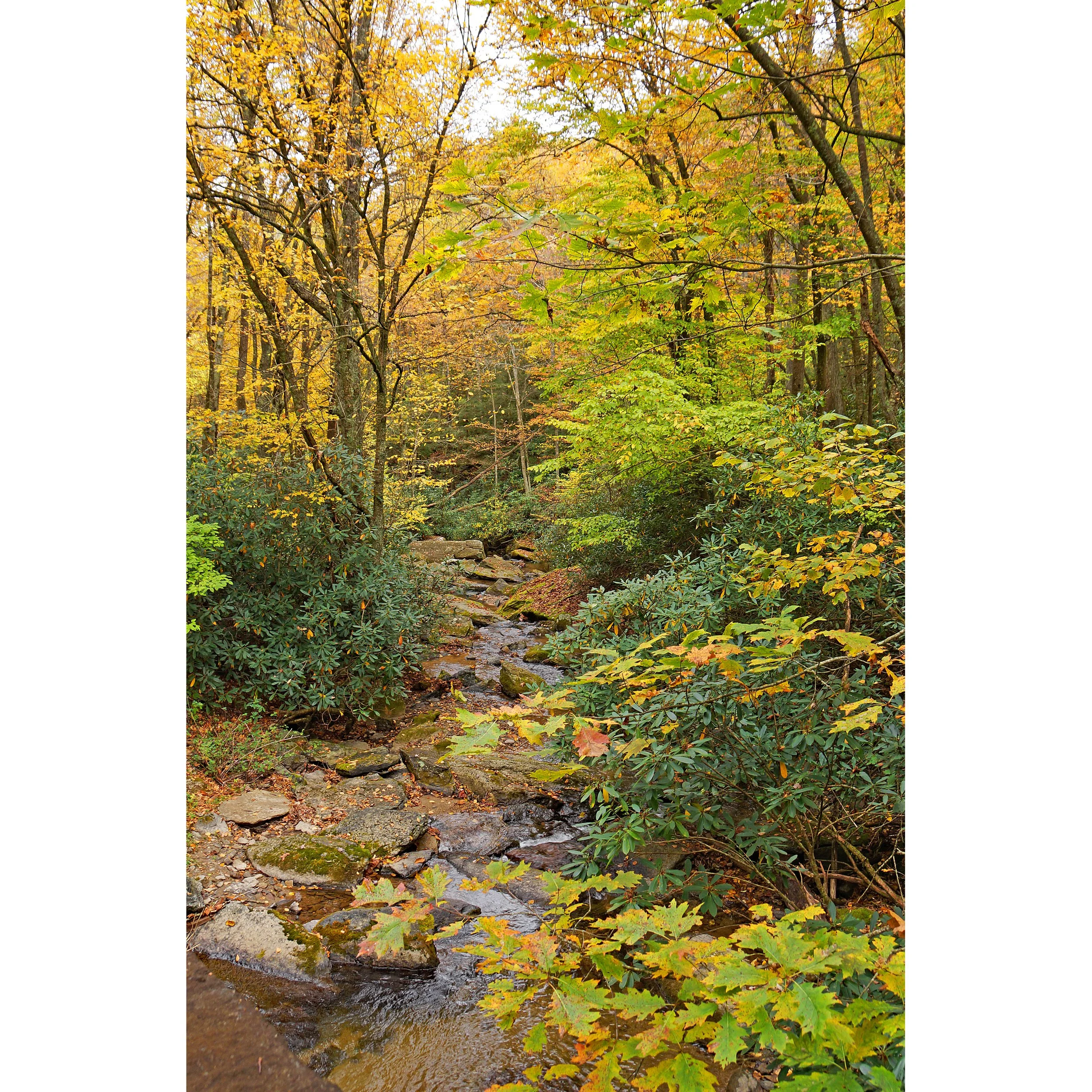 Rest Stop - Portrait - Shipping Included — Trotter Arts - Photographs ...