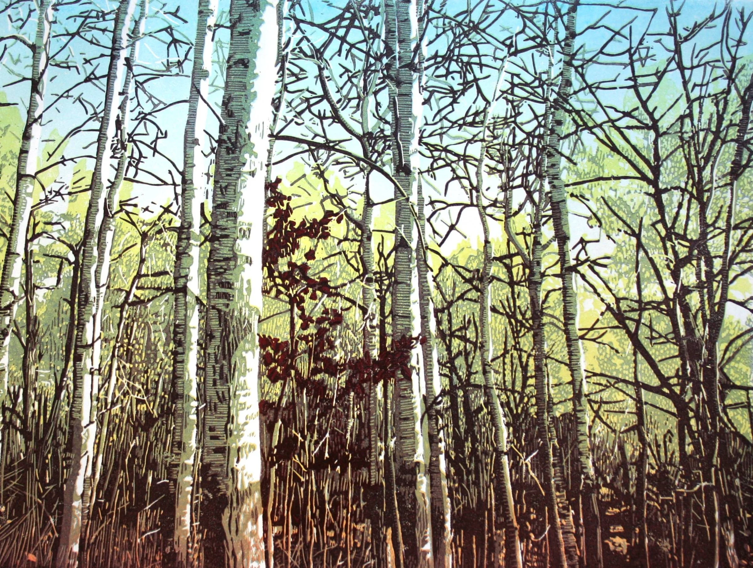 Reif Gallery — MacRostie Art Center