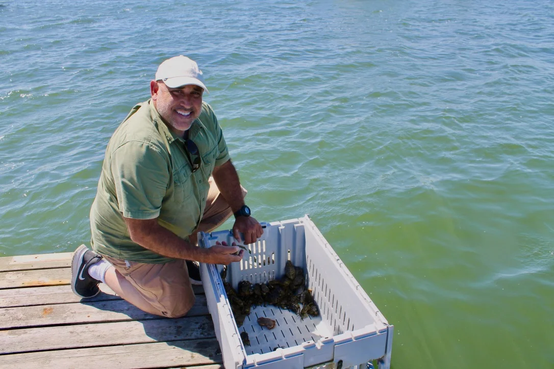 Soft-Shells on the Cape — Greencrab.org