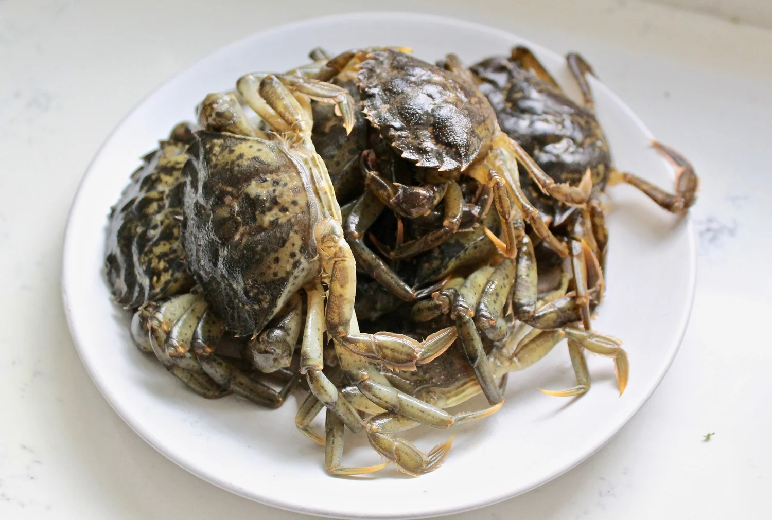 Greencrab.org