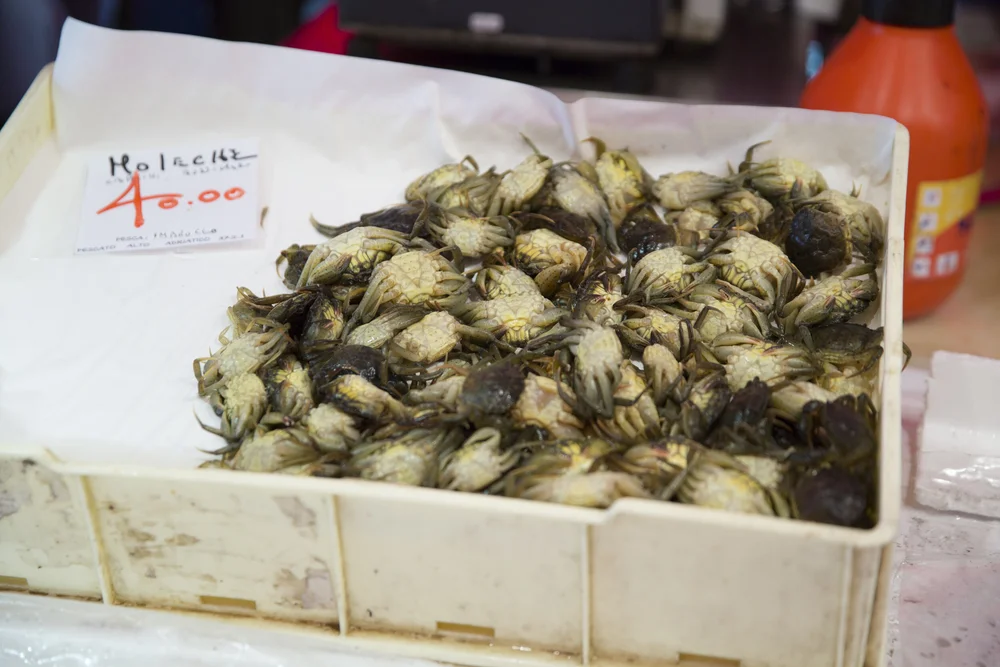 Greencrab.org